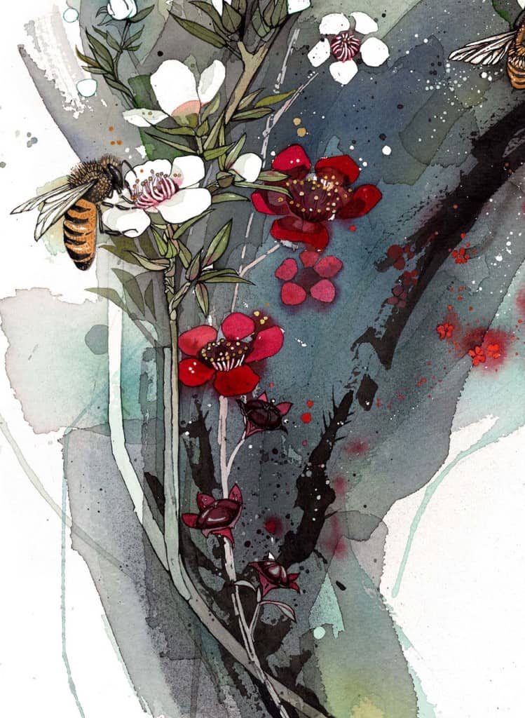 Rachel Walker – The White Sail Gallery