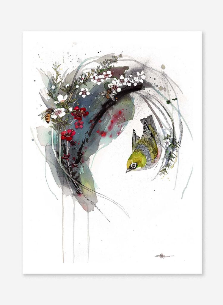 Rachel Walker – The White Sail Gallery