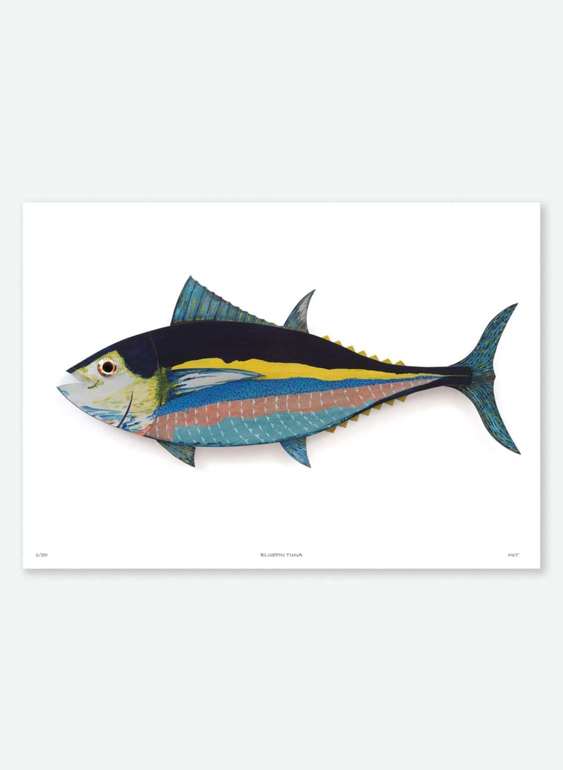 Bluefin Tuna (Limited Edition Print) – Ian McTavish – The White Sail ...