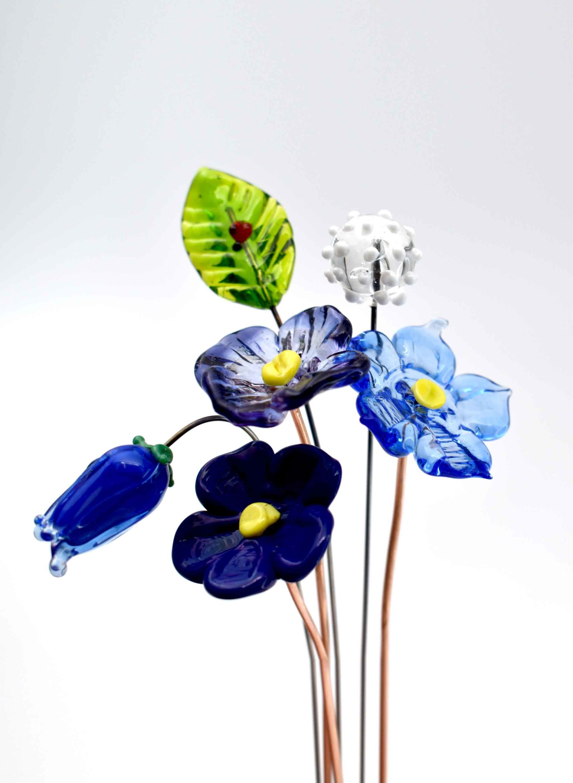 Frances Hanson – The White Sail Gallery